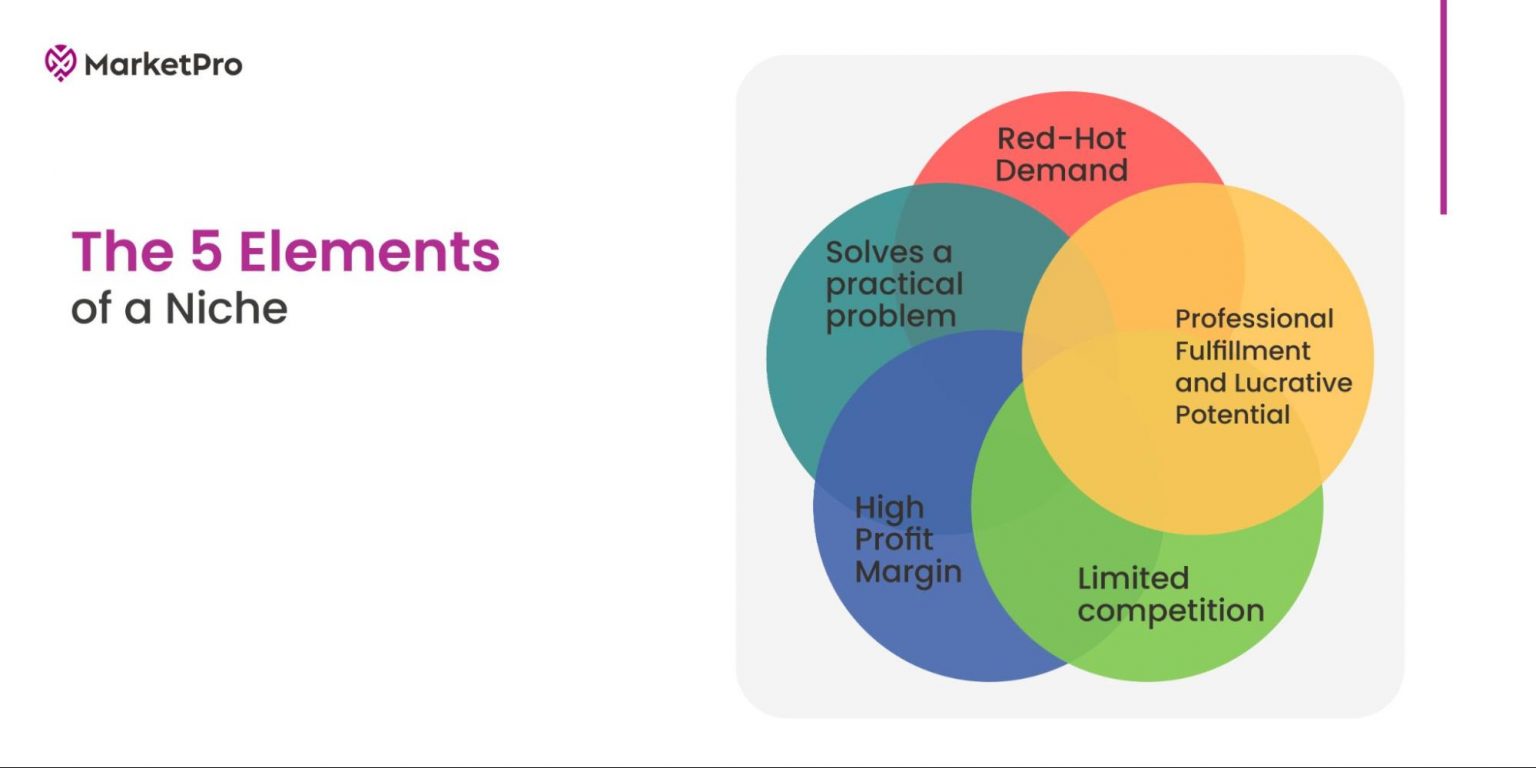 The Comprehensive Niche Marketing Guide: Definition, Benefits, and Example